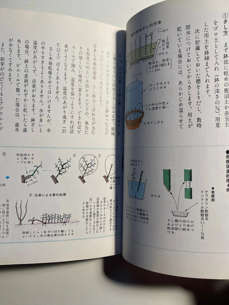 Ume book – Canada Bonsai